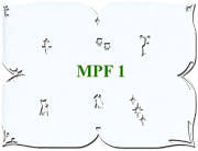 8ty8 Beauty Airbrush Stencil, MPF